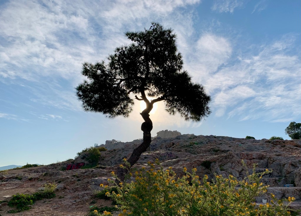 Acropolis - Thoughtful Dane