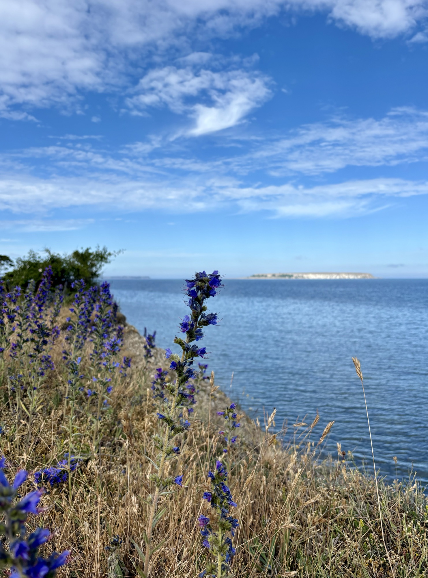 Gotland: Caves, cliffs, and churches - Thoughtful Dane