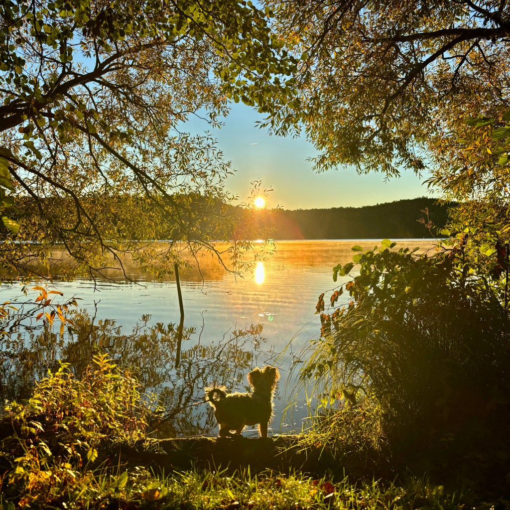 A new hobby (story time) - Thoughtful Dane